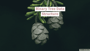 Binary Tree Data Structure | GyanBlog