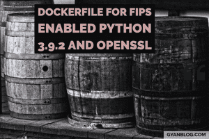 Dockerfile for building Python 3.9.2 and Openssl for FIPS | GyanBlog