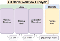 A Practical Guide on how to work with Git Basic Commands and workflows ...